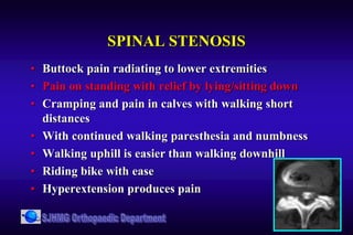 Low Back Pain abc A review of anatomy and treatment options for low ...