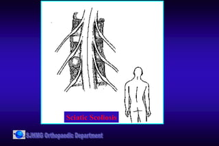 Low Back Pain abc A review of anatomy and treatment options for low ...