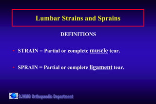 Low Back Pain abc A review of anatomy and treatment options for low ...