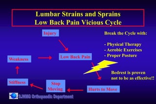 Low Back Pain abc A review of anatomy and treatment options for low ...