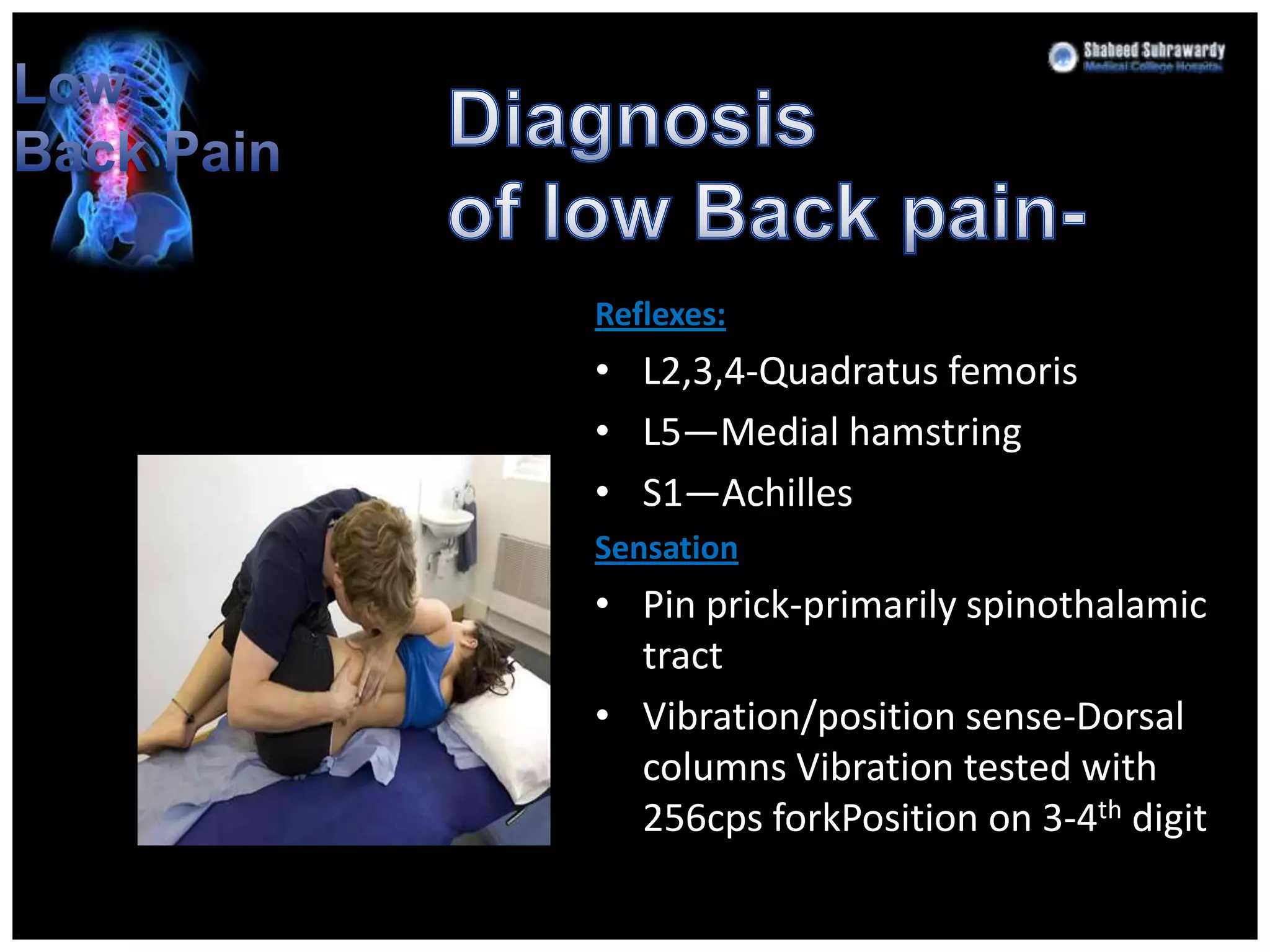 Low Back Pain | PPTX