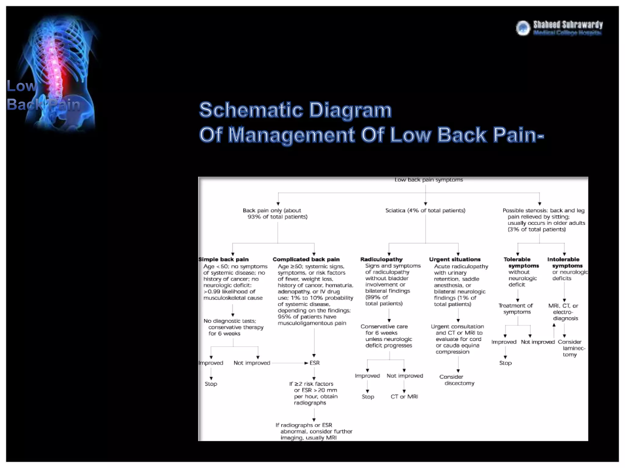 Low Back Pain | PPTX