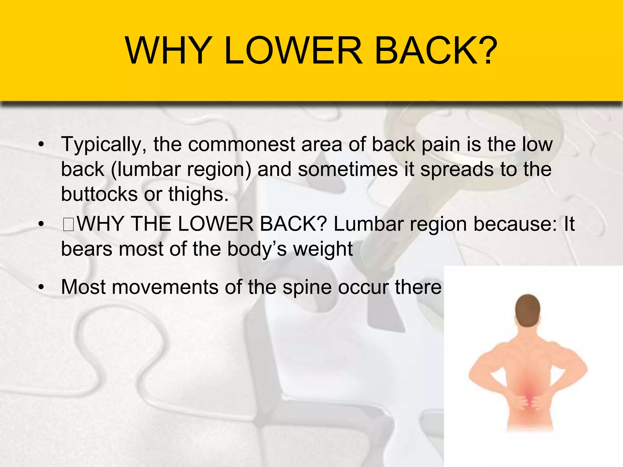 Low back pain (lumbago) | PPTX