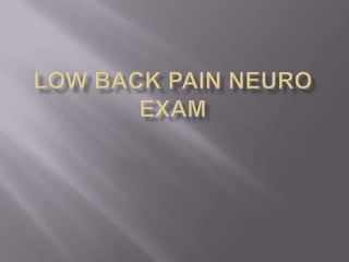 Low back pain neuro exam | PPTX