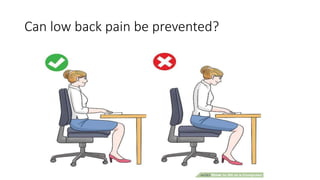 Low back pain package. | PPTX