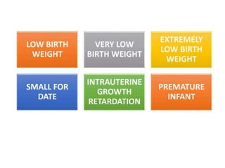low birth weight child health nursing bsc | PPTX
