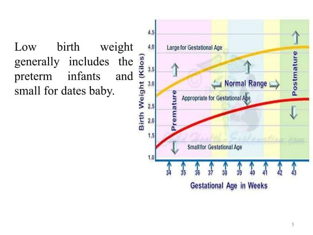 LOW BIRTH WEIGHT INFANT - final (1).pptx | Pregnancy | Reproductive Health