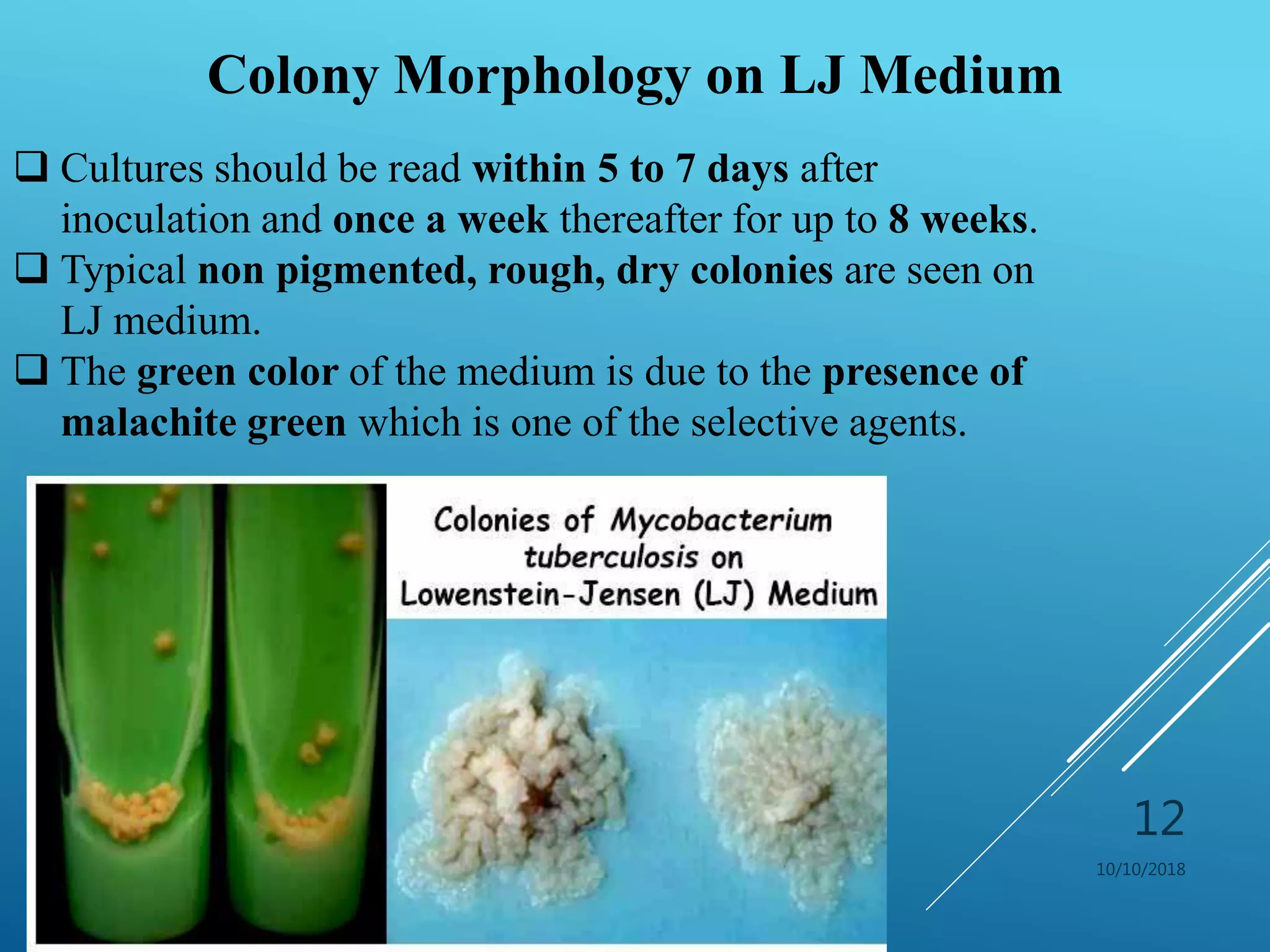 Lowenstein jensen medium | PPTX