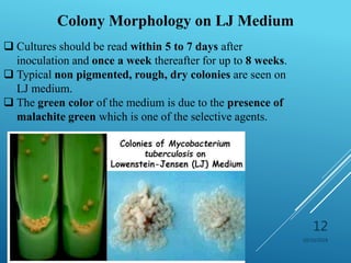 Lowenstein jensen medium | PPTX