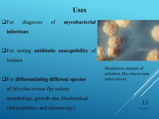 Mycobacterium Tuberculosis Culture Media