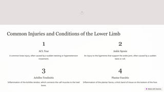 Lower-Limb-Anatomy-An-Exploration By Karthik S | PPTX