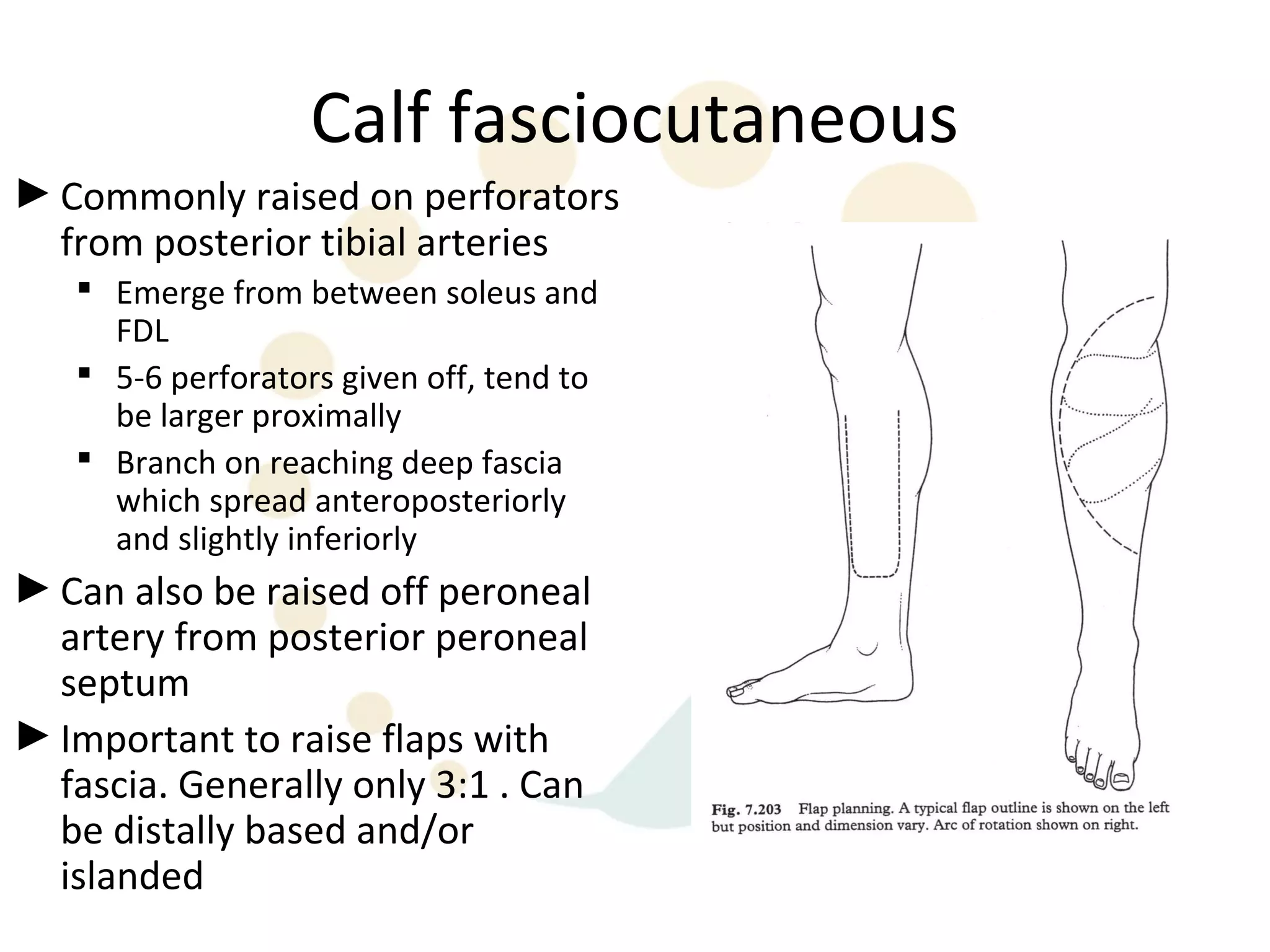 Lower limb-flaps | PPT