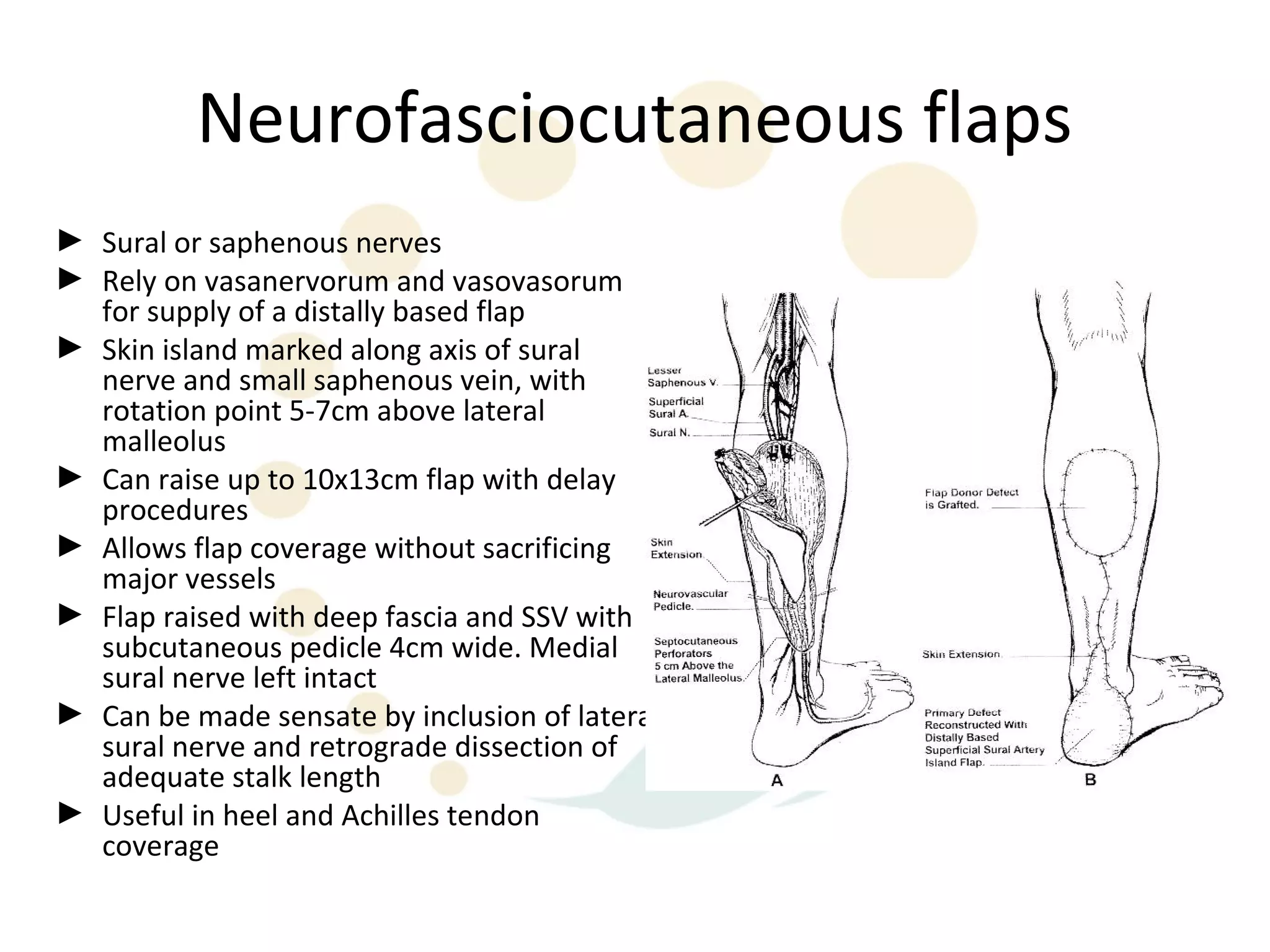 Lower limb-flaps | PPT