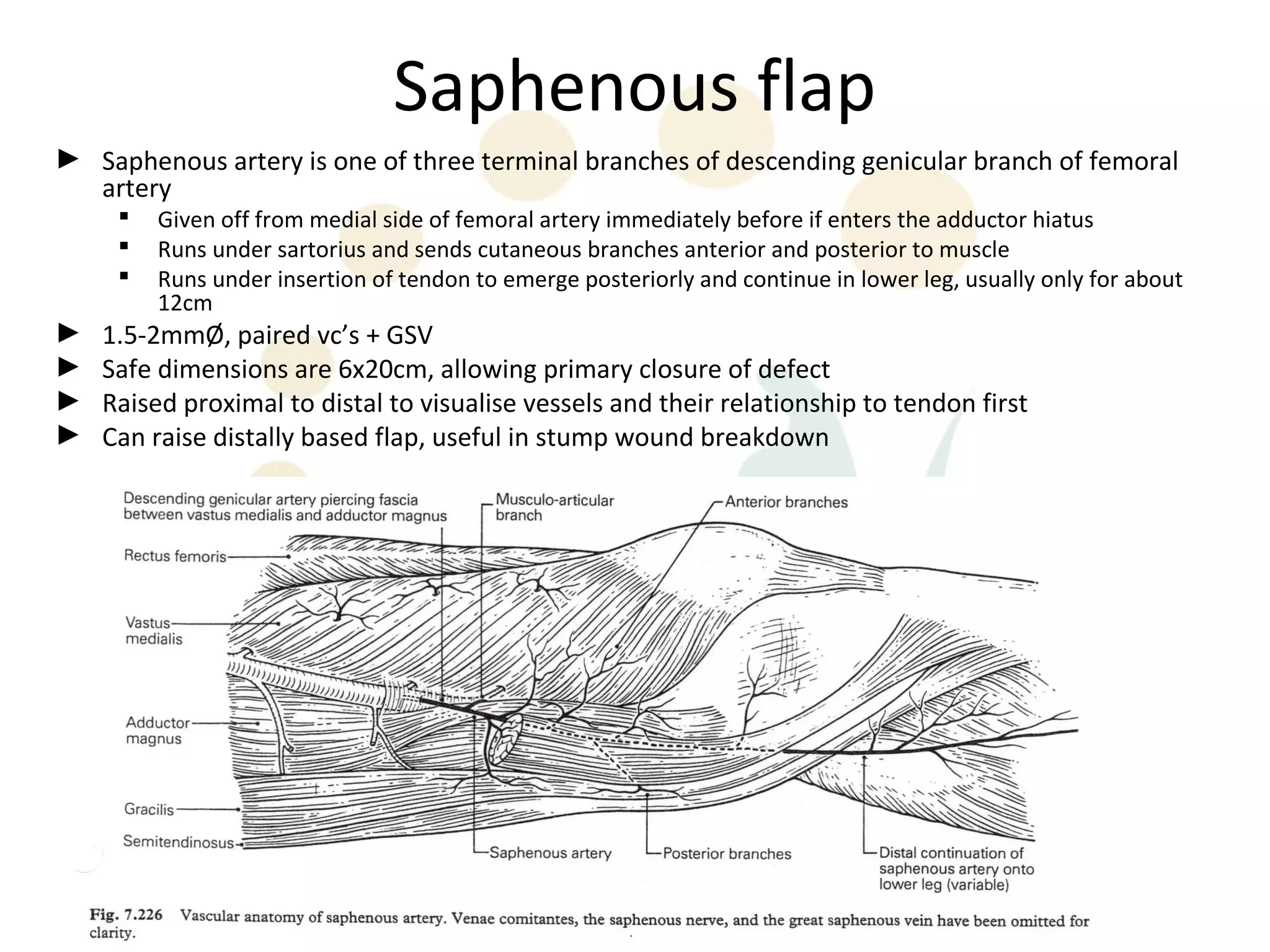 Lower limb-flaps | PPT