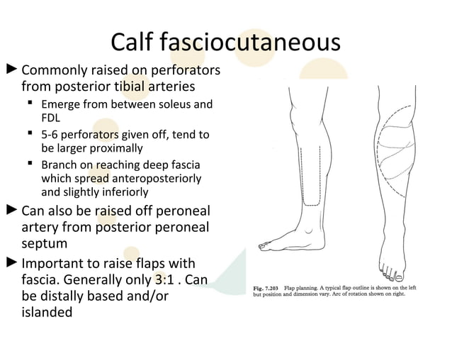 Lower limb-flaps | PPT