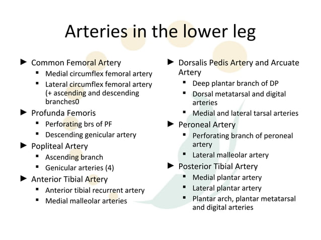 Lower limb-flaps | PPT