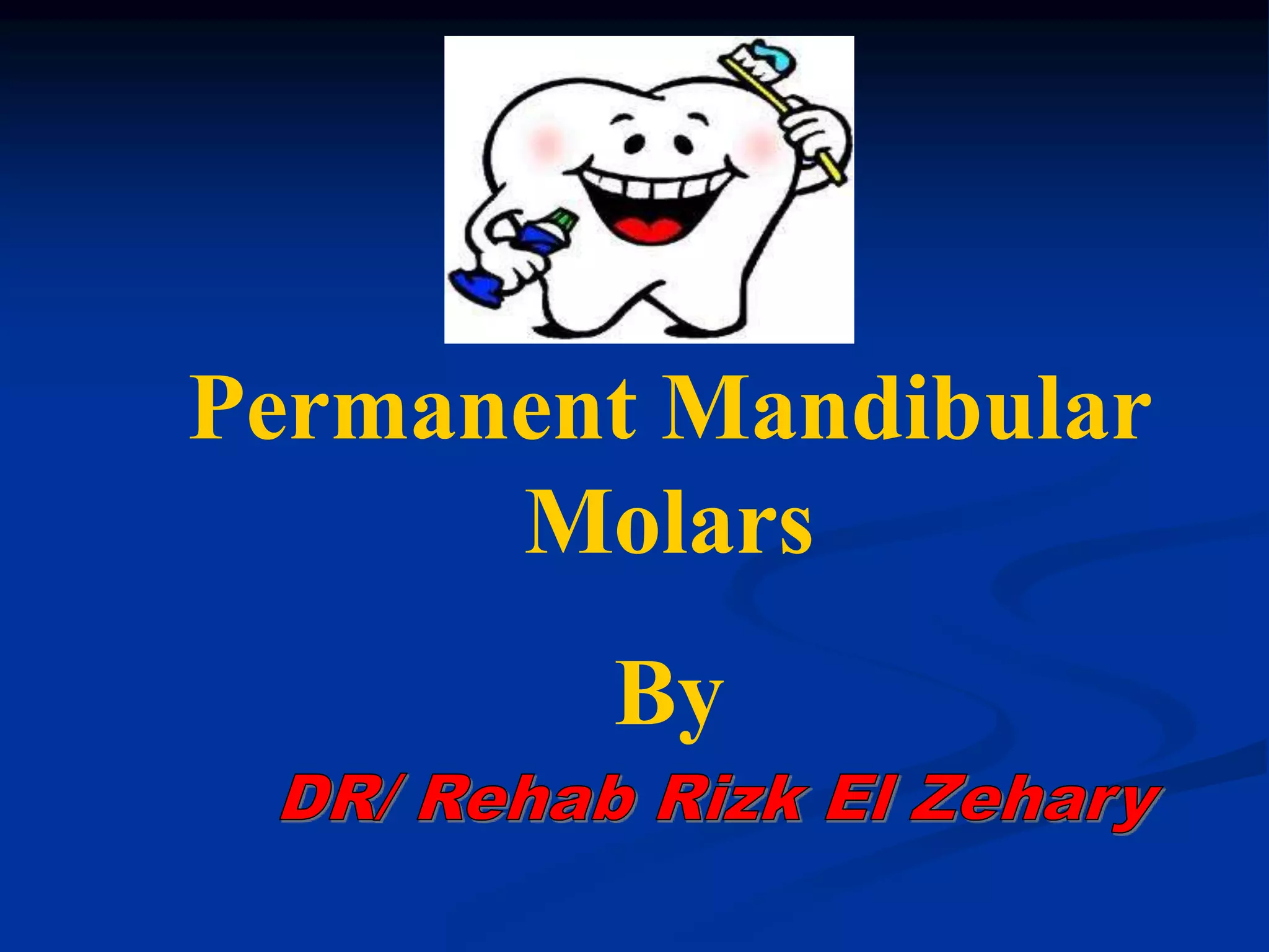Lower First Molar | PPT