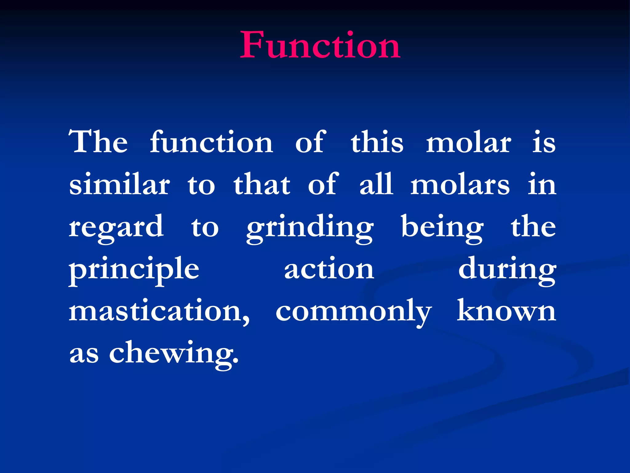 Lower First Molar | PPT