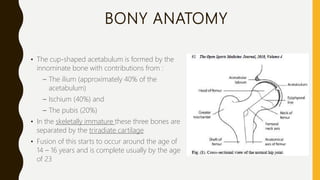 Lower avn hip | PPTX