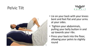 Podfit Lower back stability exercises | PPTX