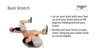 Podfit Lower back stability exercises | PPTX