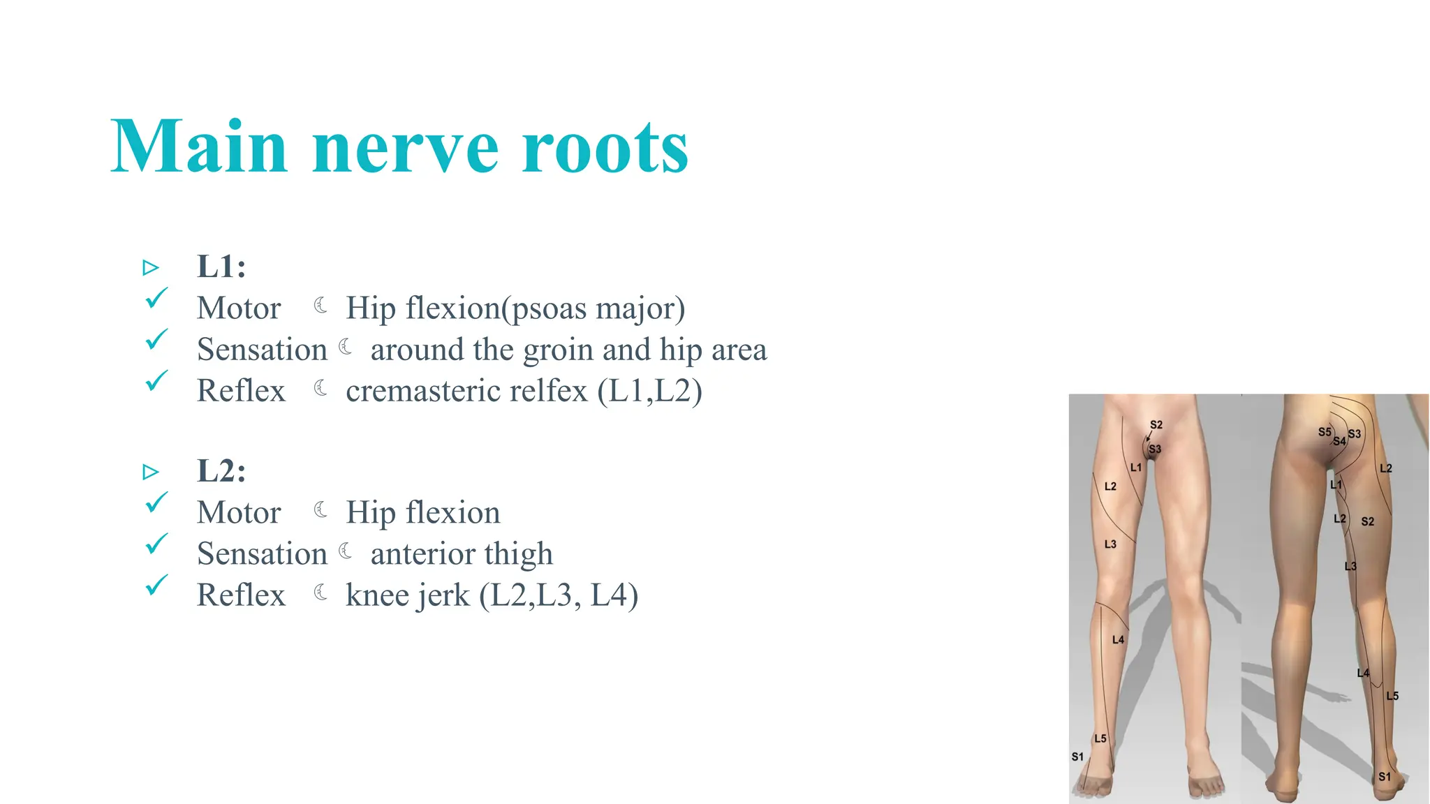 lower back pain tests for patients with back pain.pptx
