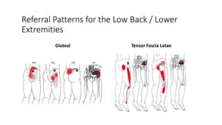 lower back pain tests for patients with back pain.pptx