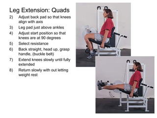 Lower Body Exercises | PPT