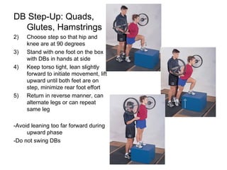 Lower Body Exercises | PPT