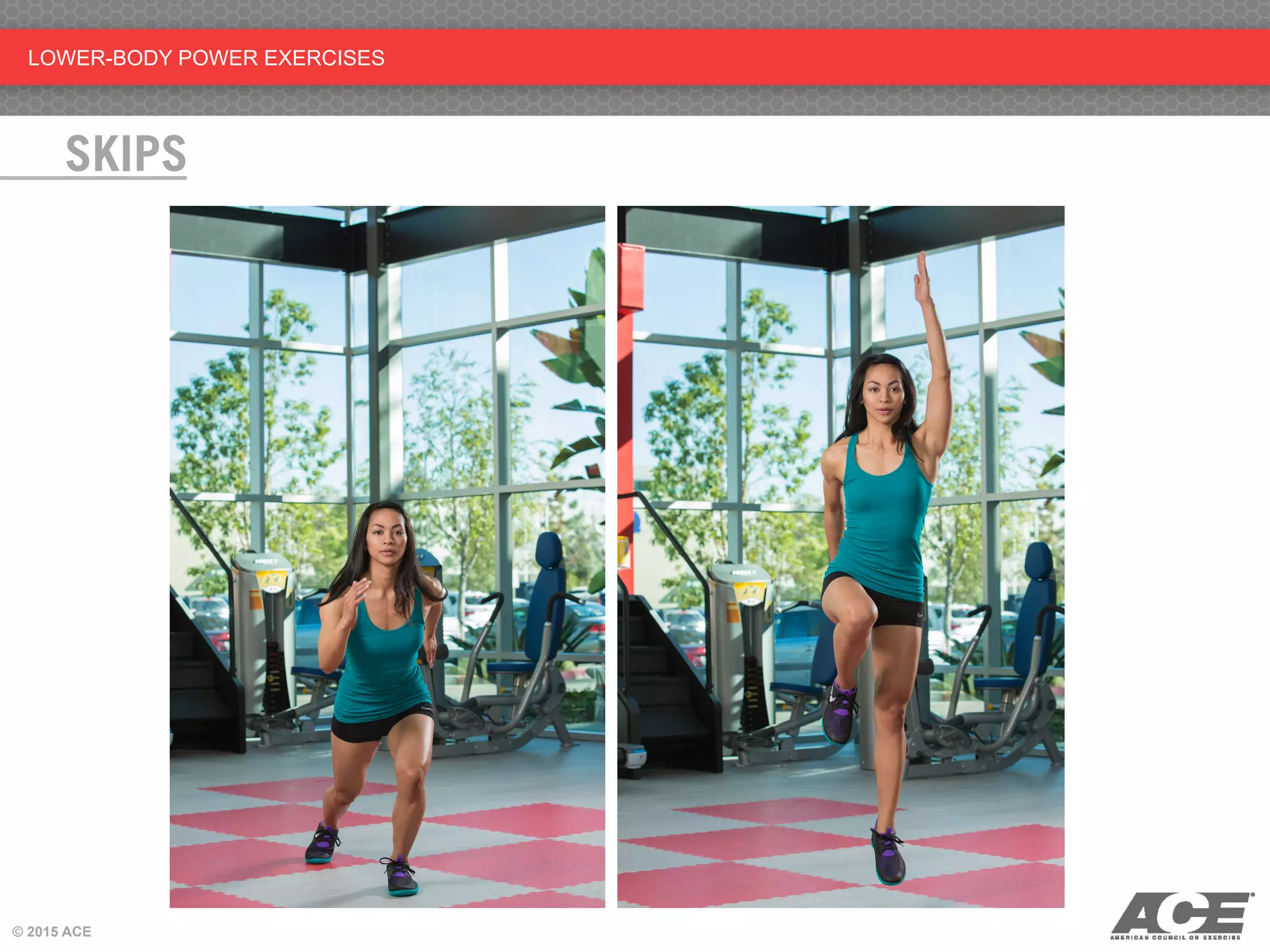 Lower body exercises | PDF