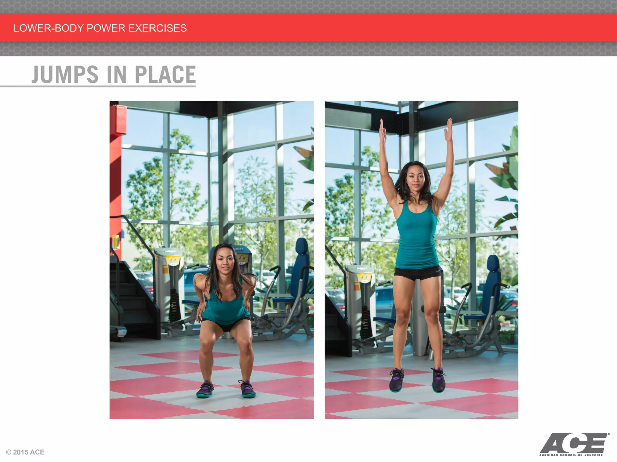 Lower body exercises