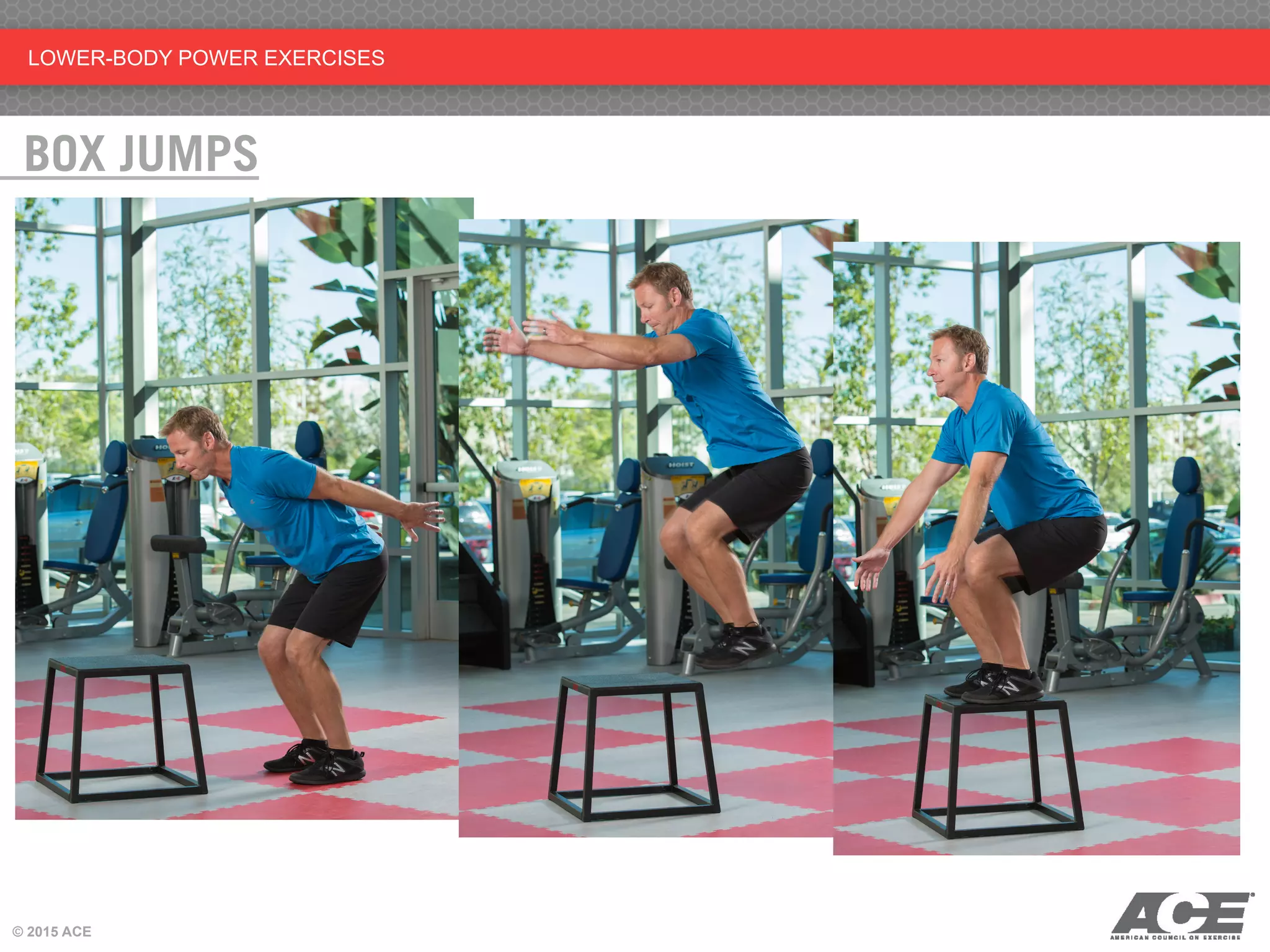 Lower body exercises