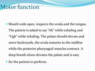 Lower cranial nerves ajay | PPTX