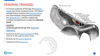 Lower extremity | PPT
