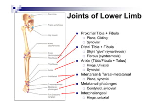Lower extremity.pdf