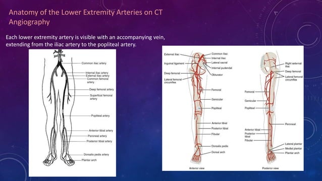 lower extremity doppler ultrasound.pptx | Death, Injury, or Military ...