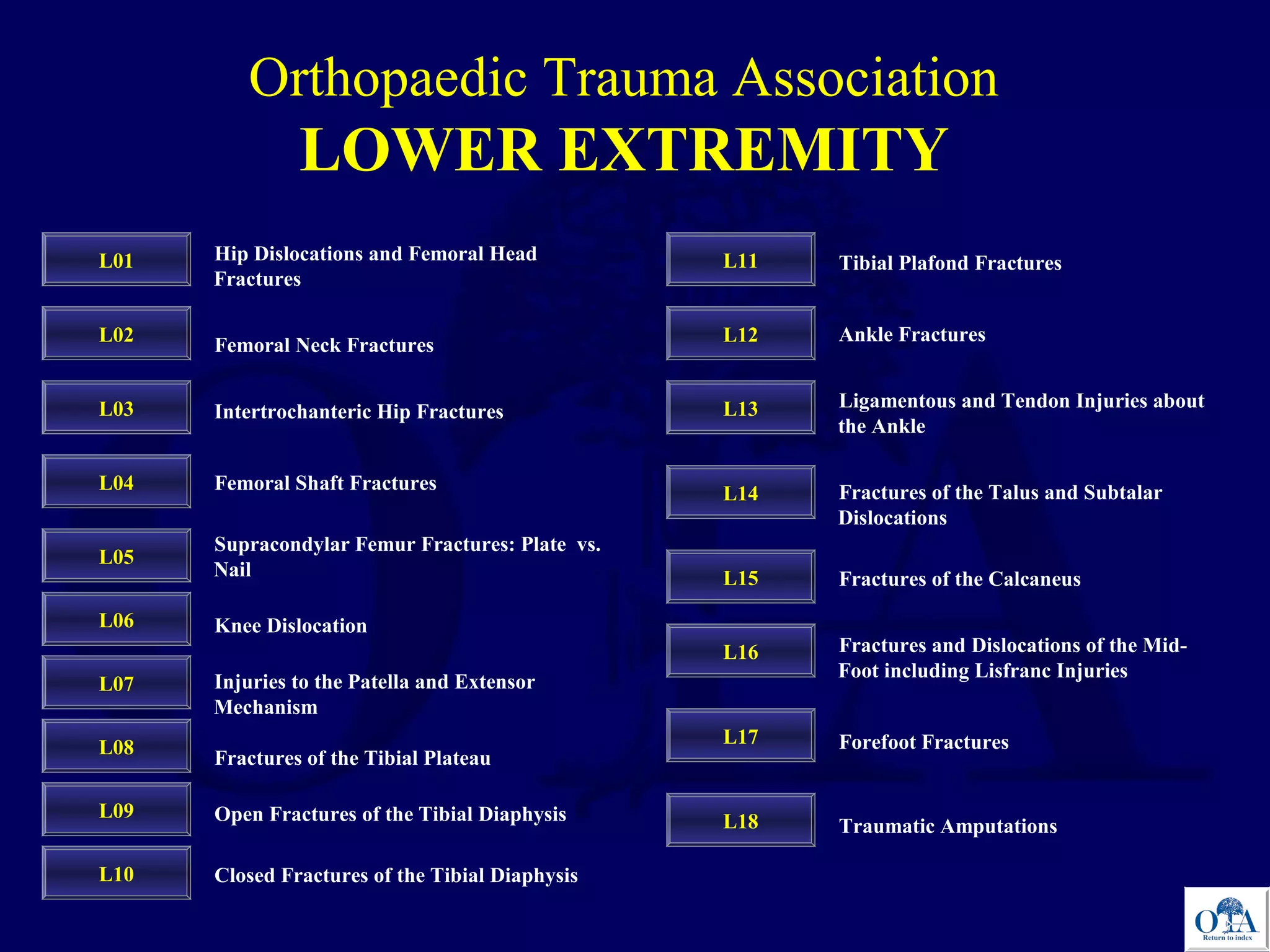 Lower extremity index | PPT