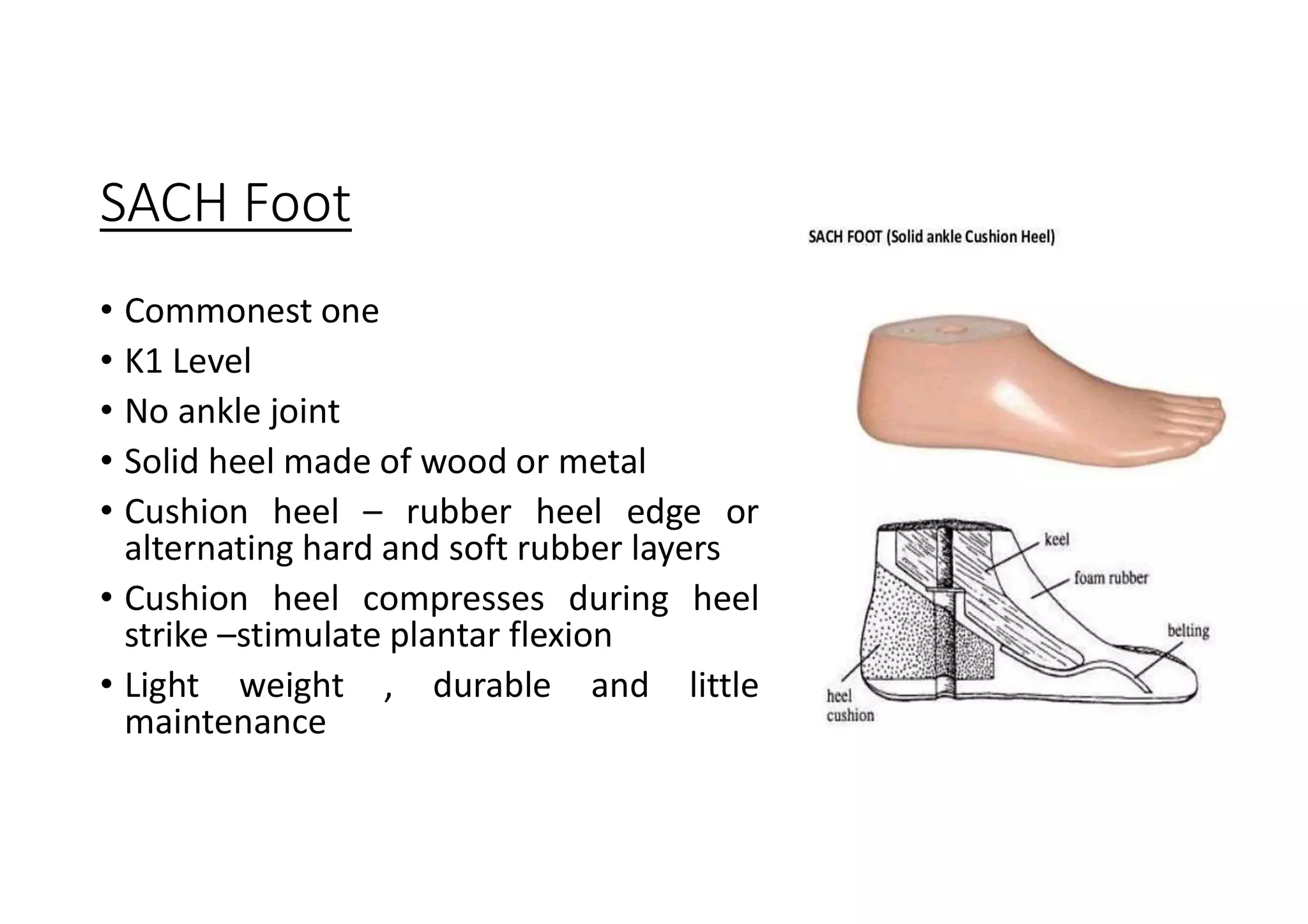 Lower extremity prostheses | PDF