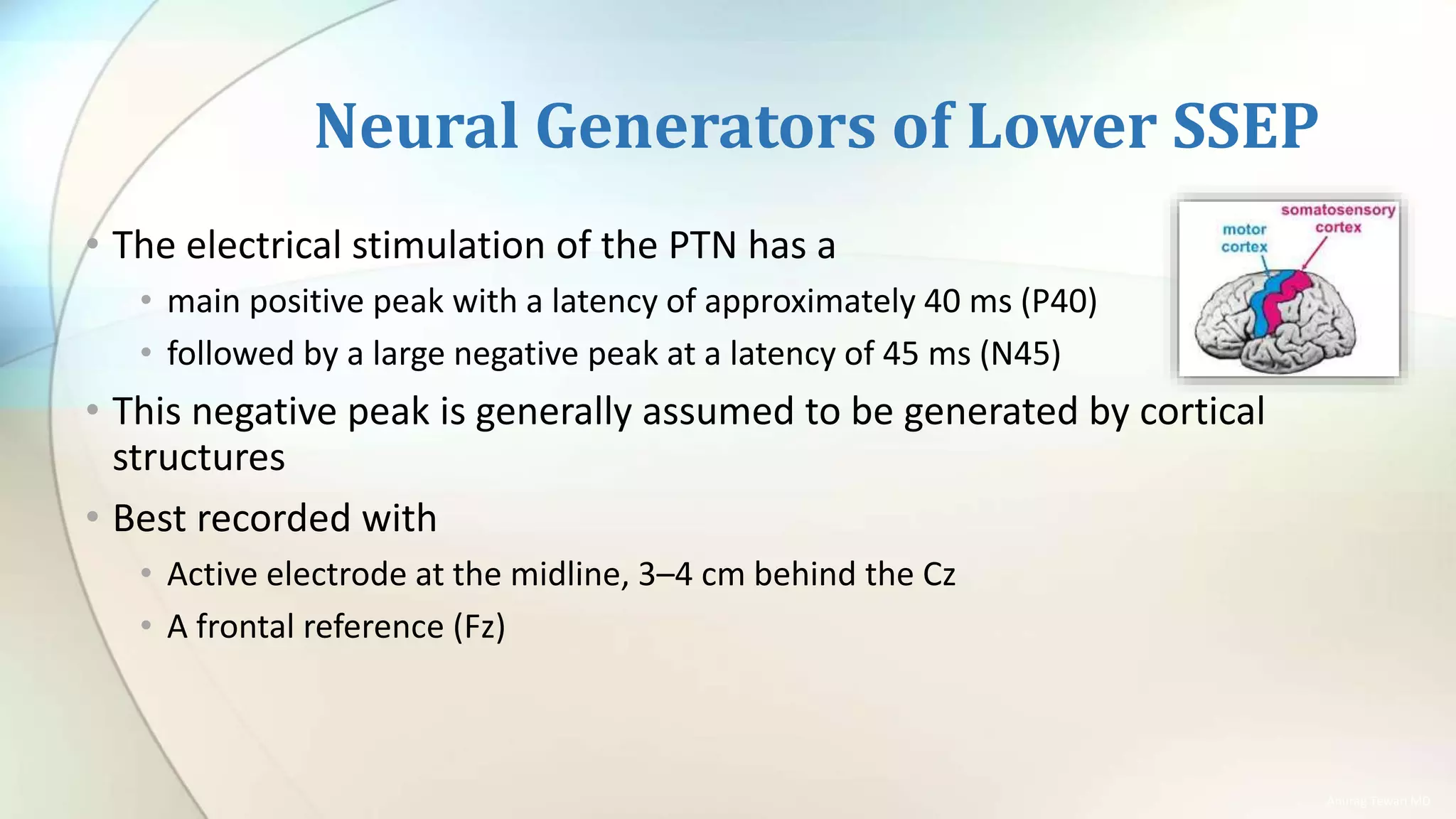Lower Extremity Somatosensory Evoked Potentials (lower SSEP) | PPTX