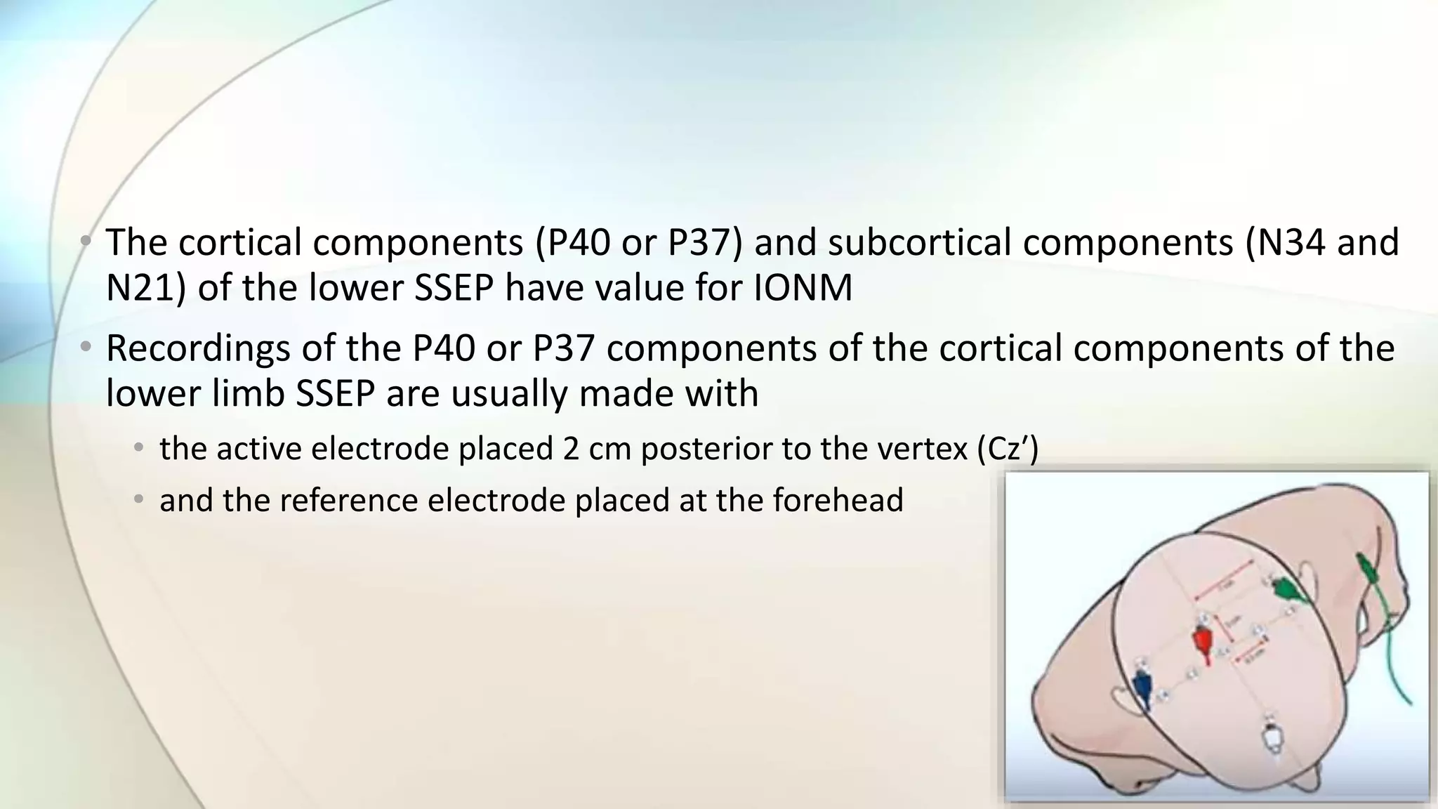 Lower Extremity Somatosensory Evoked Potentials (lower SSEP) | PPTX
