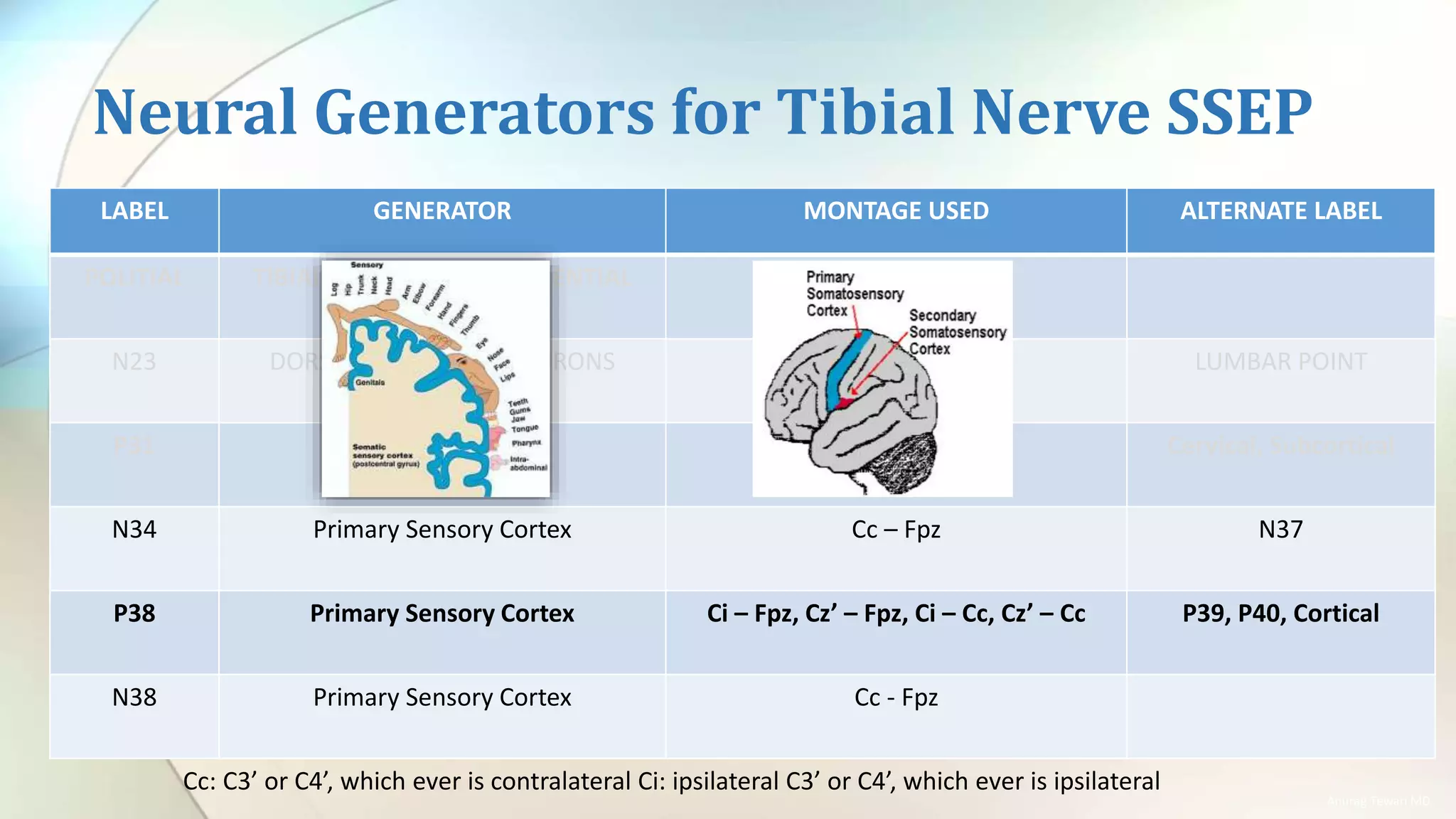Lower Extremity Somatosensory Evoked Potentials (lower SSEP) | PPTX