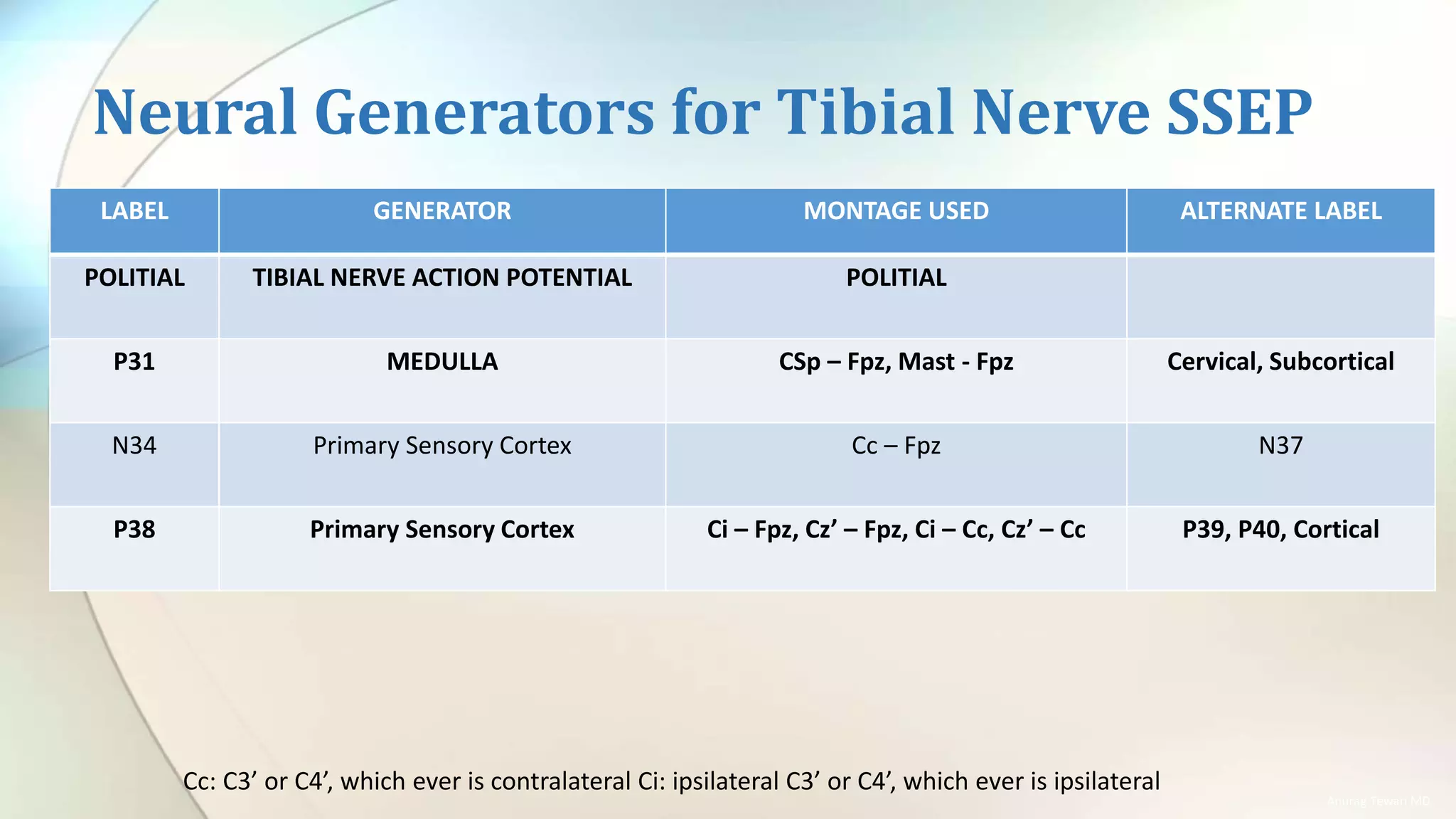 Lower Extremity Somatosensory Evoked Potentials (lower SSEP) | PPTX