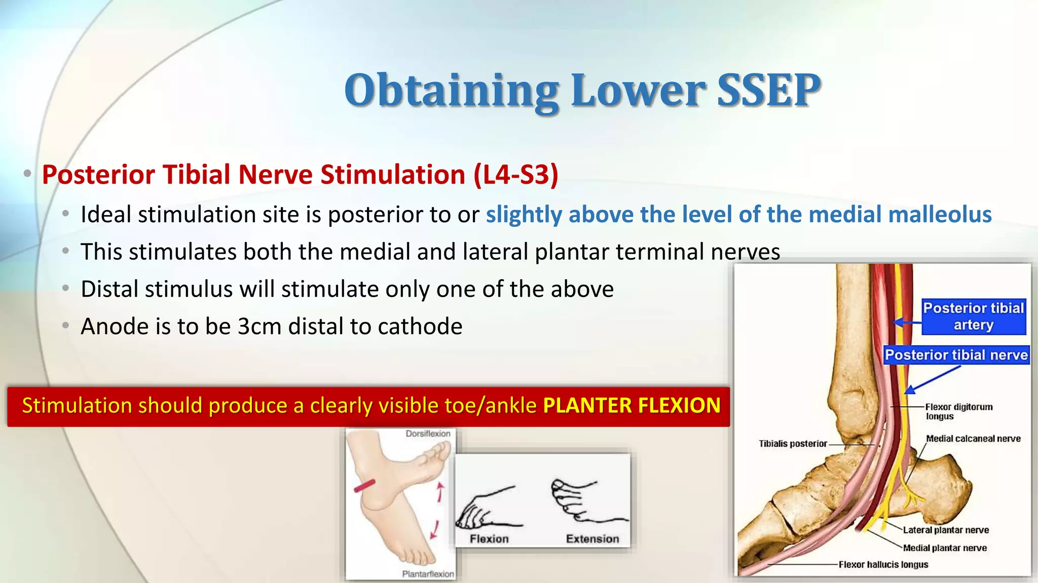 Lower Extremity Somatosensory Evoked Potentials (lower SSEP) | PPTX