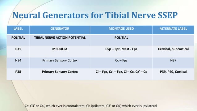 Lower Extremity Somatosensory Evoked Potentials (lower SSEP) | PPTX