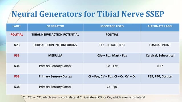 Lower Extremity Somatosensory Evoked Potentials (lower SSEP) | PPT
