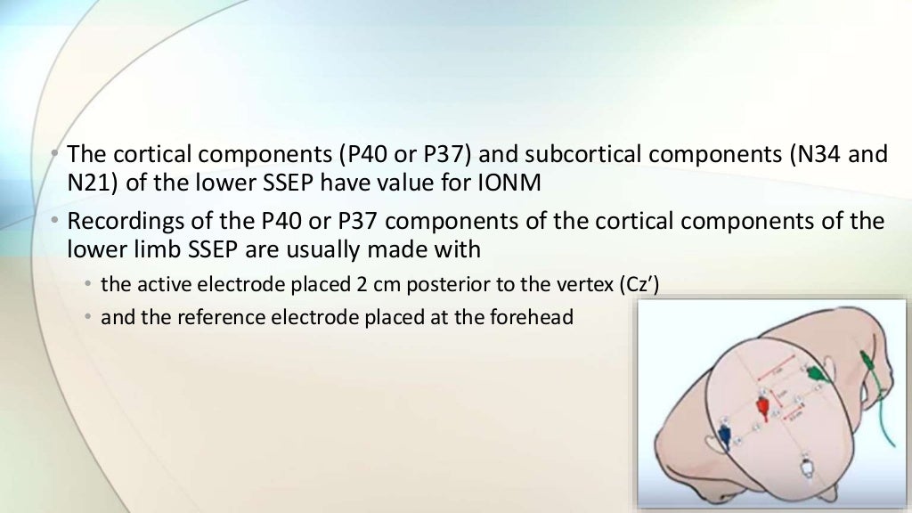 Lower Extremity Somatosensory Evoked Potentials (lower SSEP)