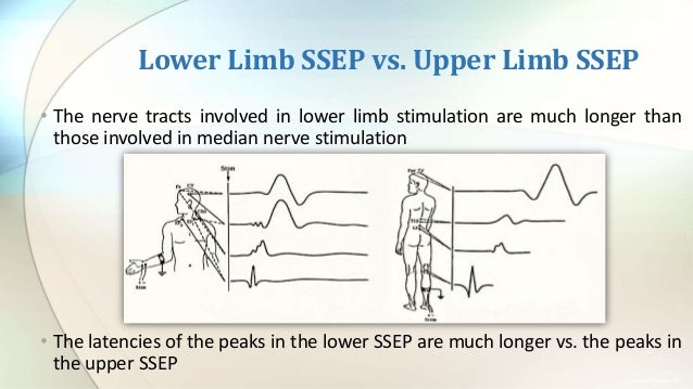Lower Extremity Somatosensory Evoked Potentials (lower SSEP)