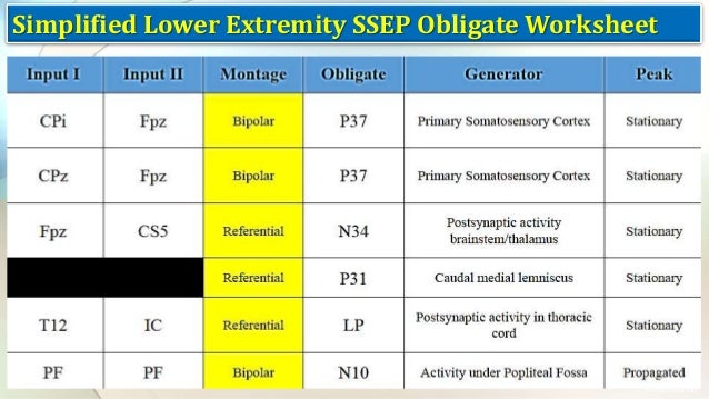 Lower Extremity Somatosensory Evoked Potentials (lower SSEP)