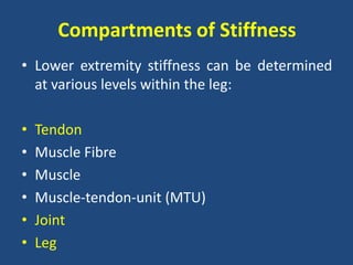 Lower Extremity Stiffness Lecture | PPTX