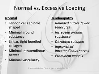 Rehabilitation Considers of Lower Extremity Tendinopathy | PPT